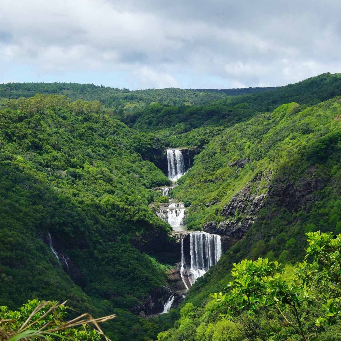 News & Resources | Restoration Seed Capital Facility