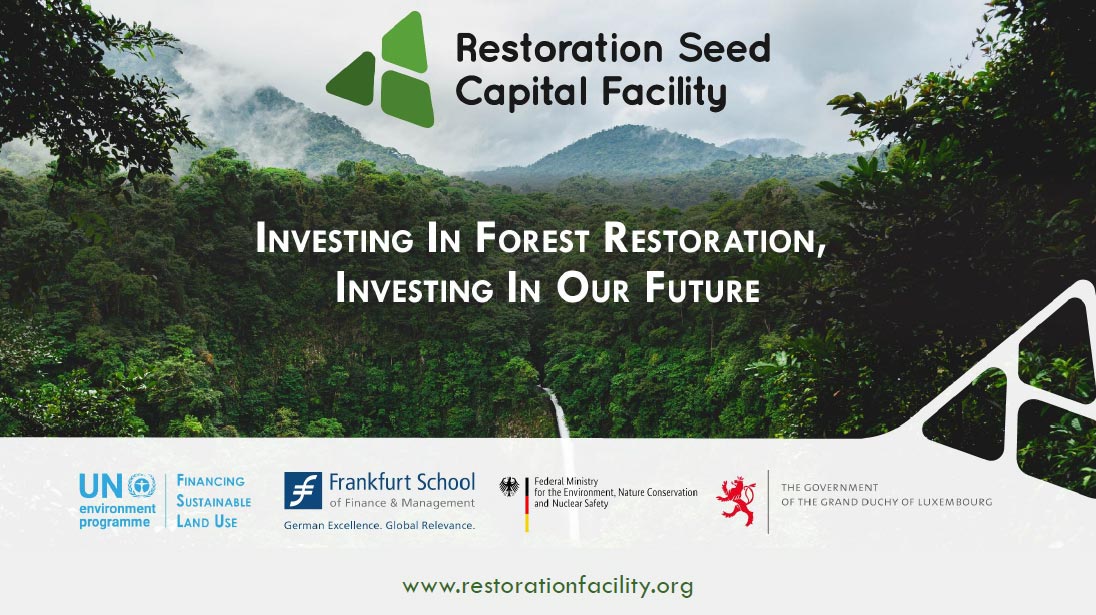 Investing in Forest Restoration, Investing in our Future