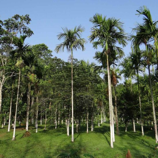 News & Resources | Restoration Seed Capital Facility