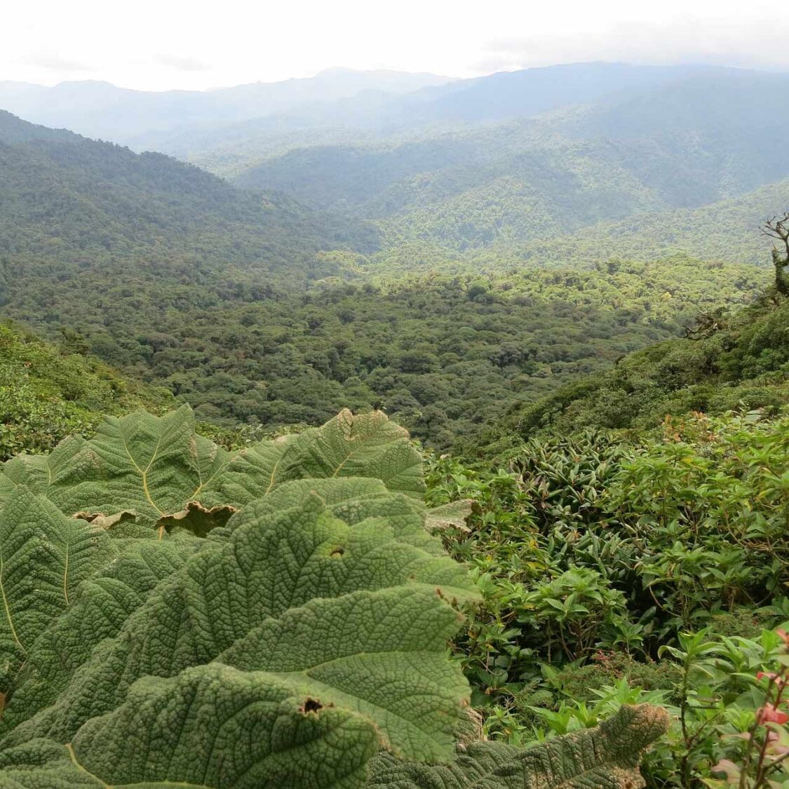 News & Resources | Restoration Seed Capital Facility