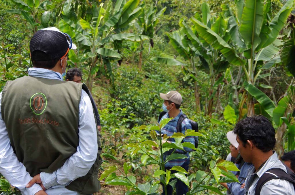 News & Resources | Restoration Seed Capital Facility